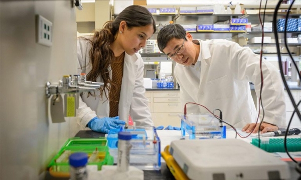 Pharmaceutical Courses | Learn From Industry Experts